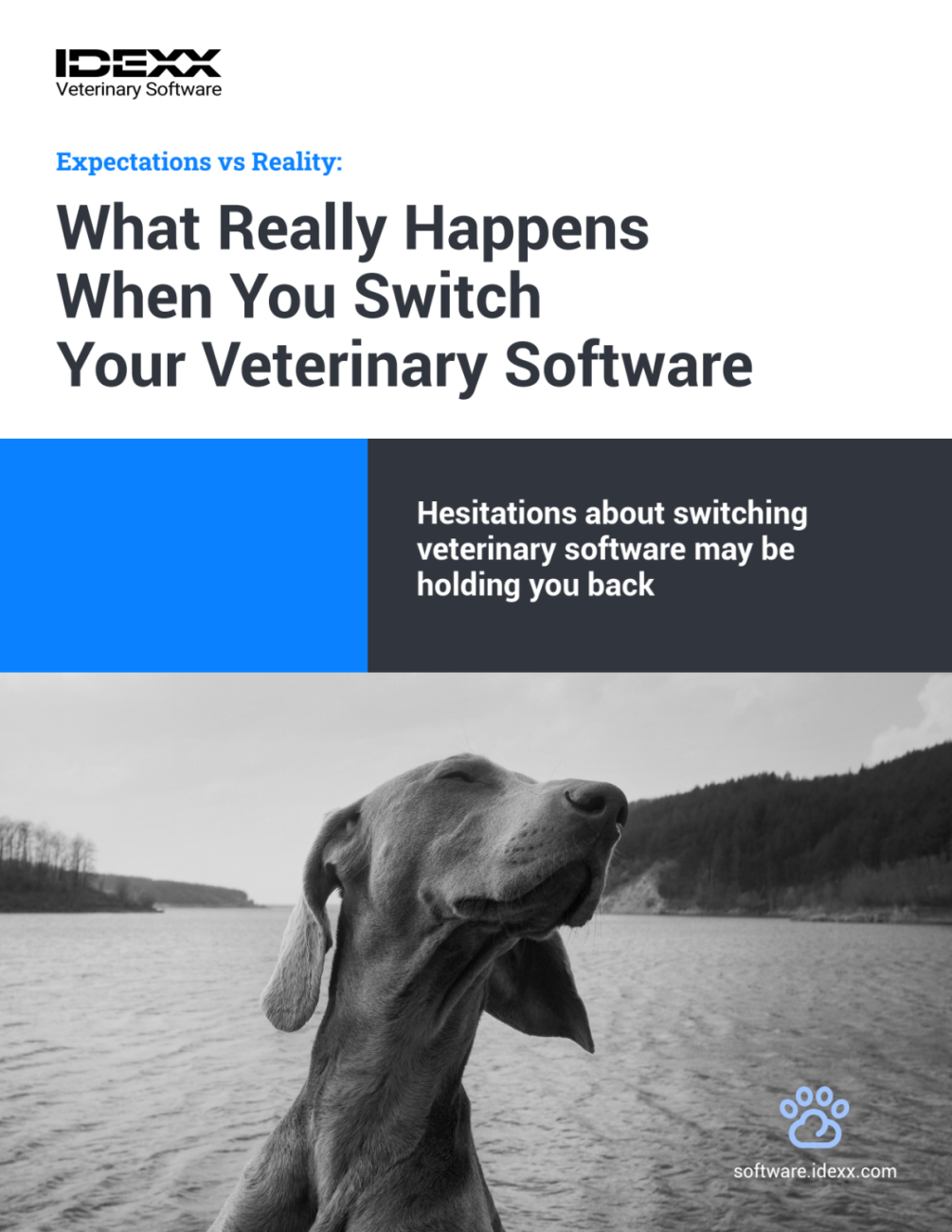 Managing Software Change in a Veterinary Practice | IDEXX Veterinary Software